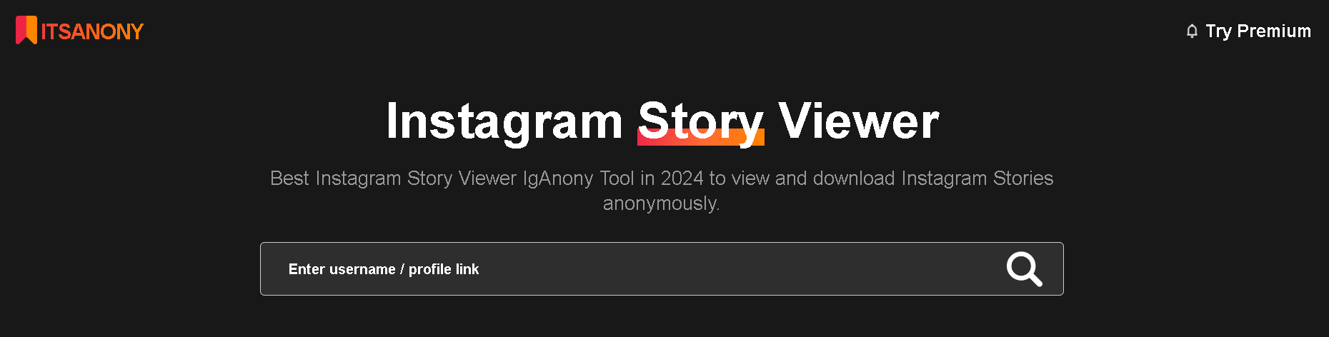 The Best Instagram Story & Highlight Viewer Tools