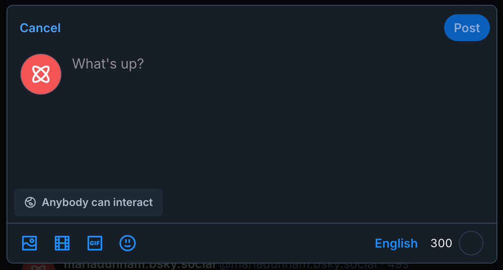 Bluesky Post Guide Explained Videos Texts Gifs More