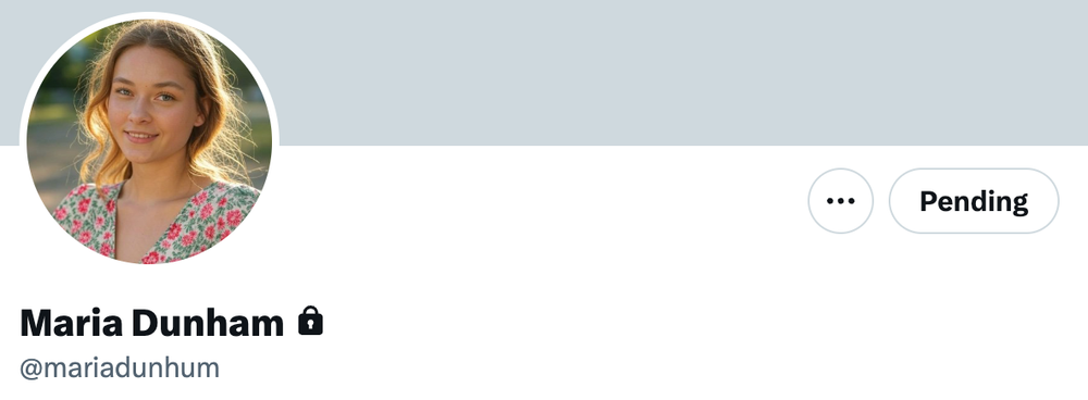 How to See Follow Requests on Twitter